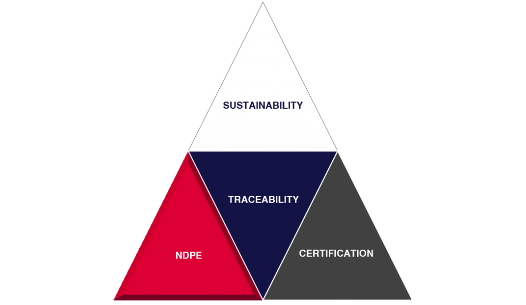 Sustainability - Zooming Into Palm Oil | Value Chain Solutions