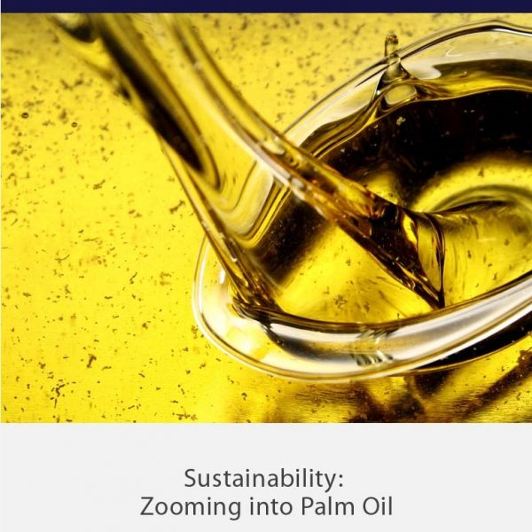 Sustainability - Zooming Into Palm Oil | Value Chain Solutions